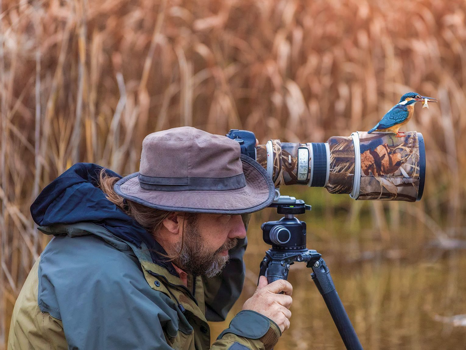 Exploring Nature: Big Trouble for Birds?