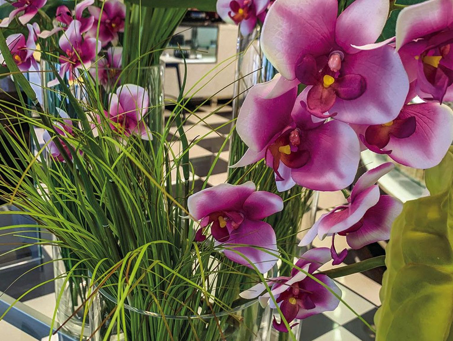 Exploring Nature: Blooms & Blossoms