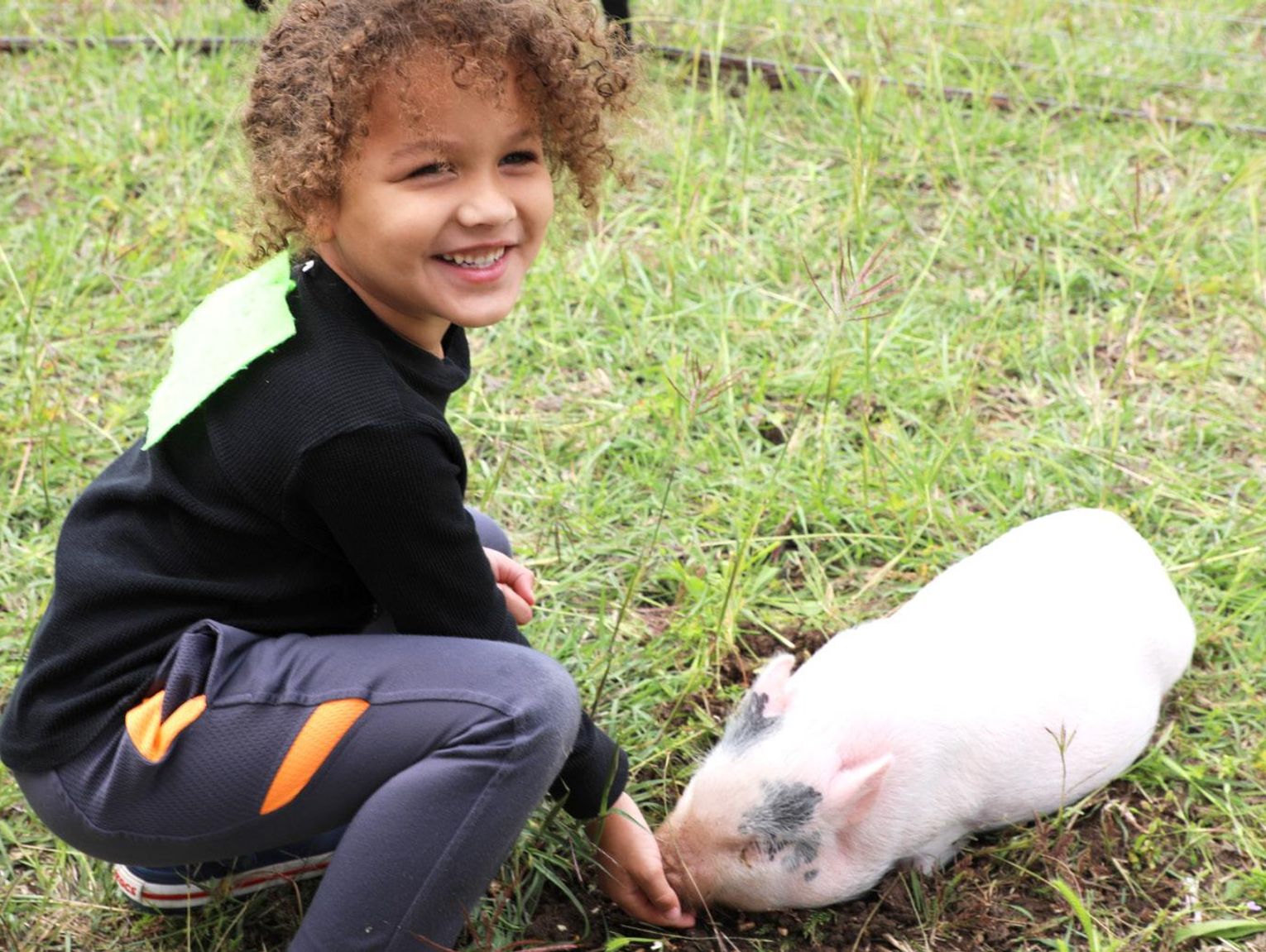 Fry's Fun Farm visits Bonham Pre-K