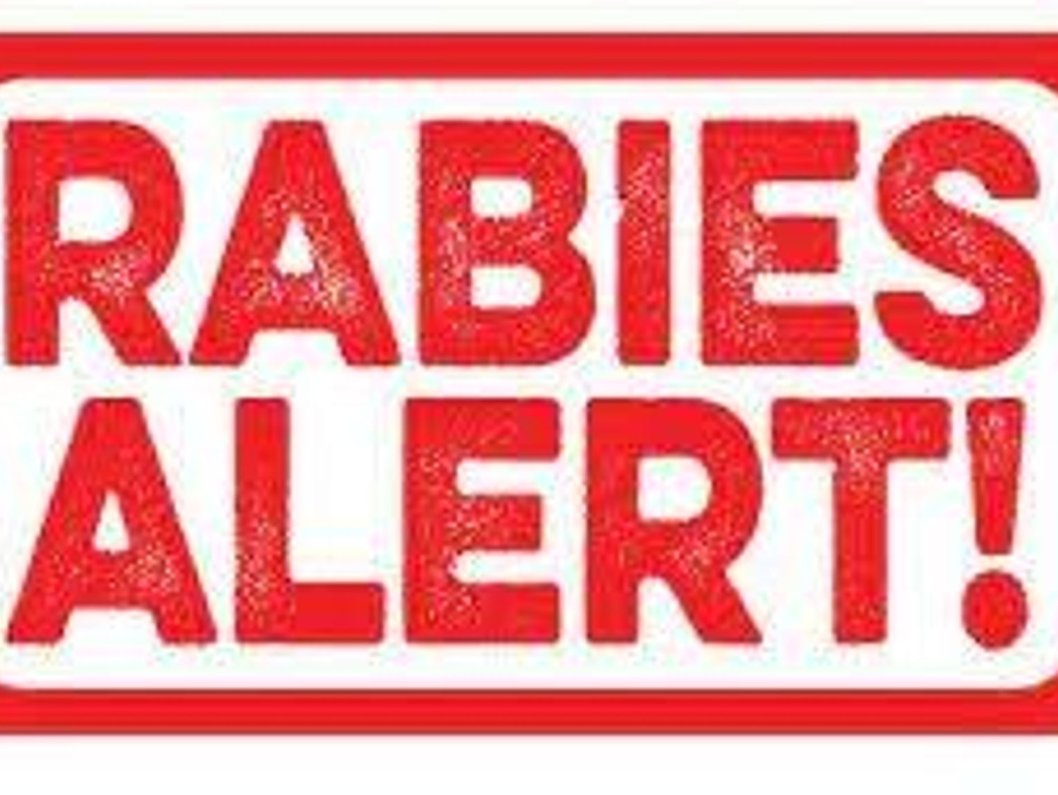 Sheriff’s office alerts Wimberley residents of rabies found in dead fox