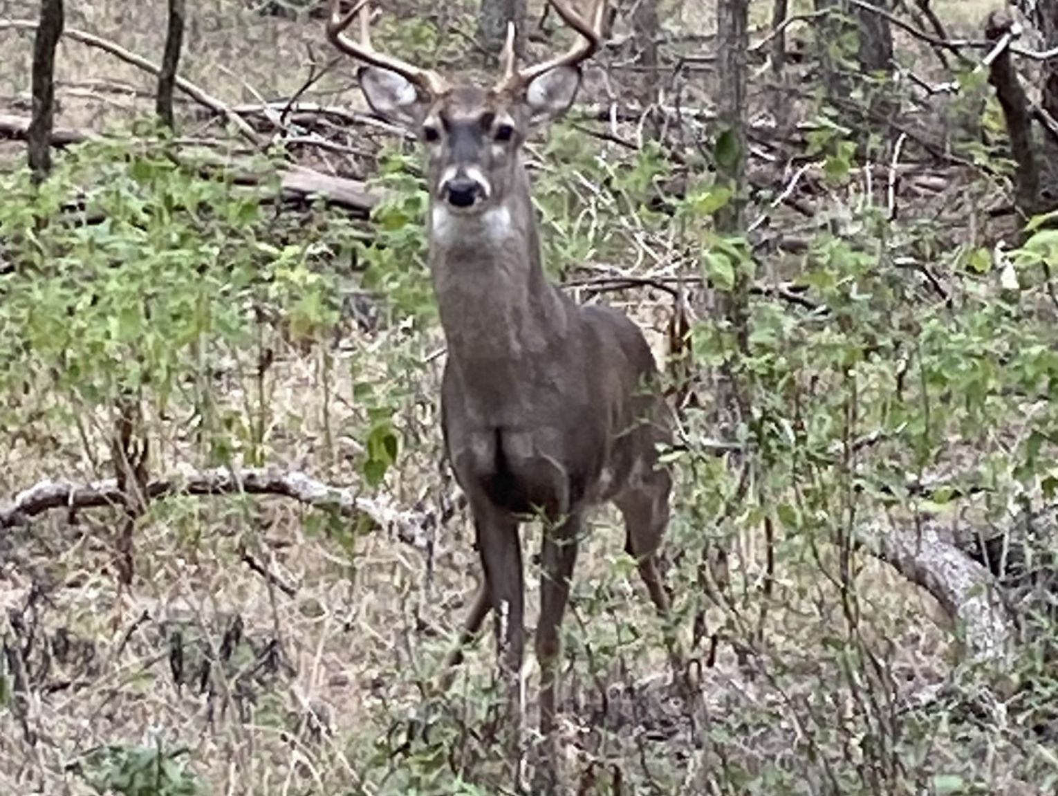 Trail Notes: Mindful Trails